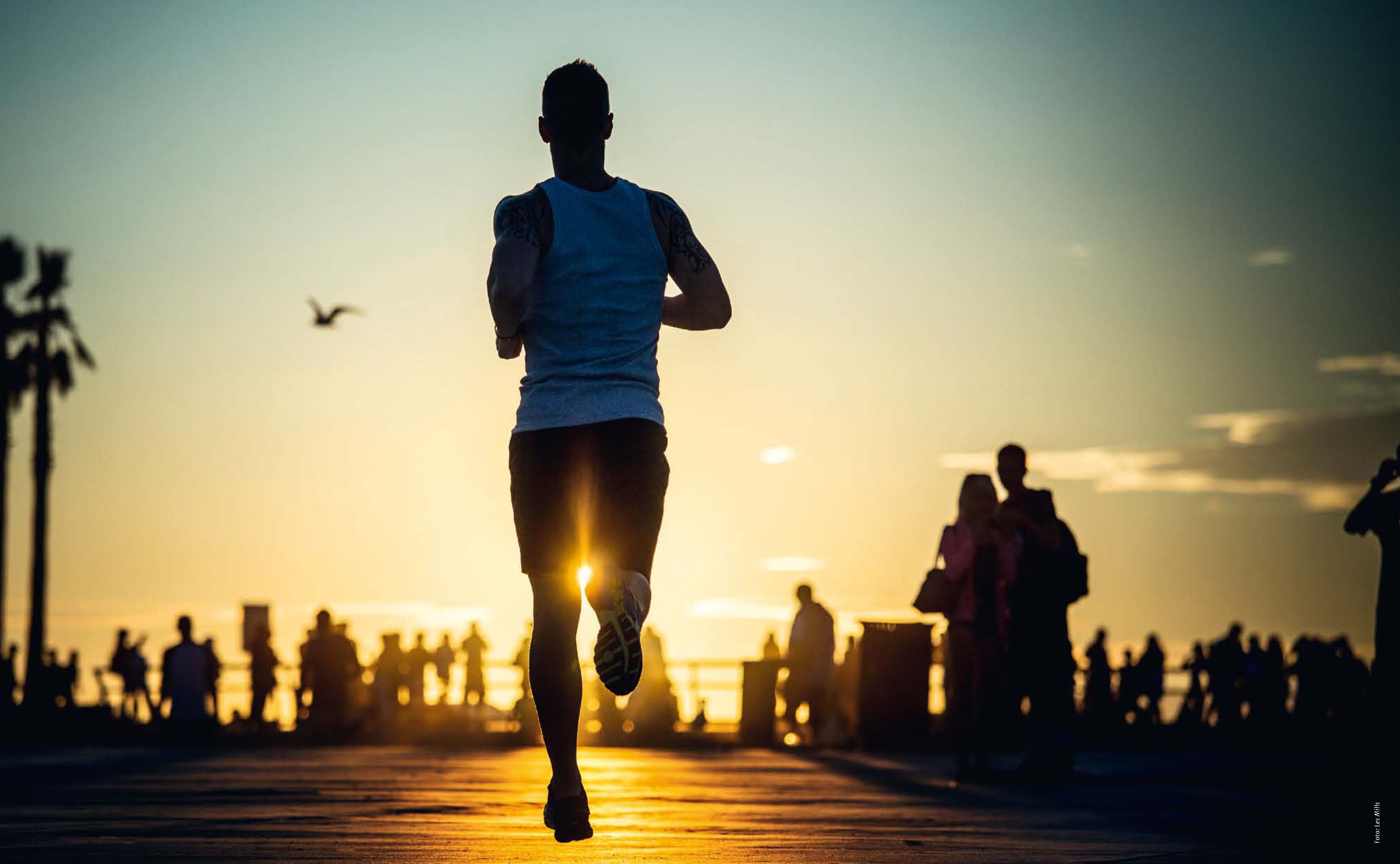 Laufcoaches.com - Michael Raab