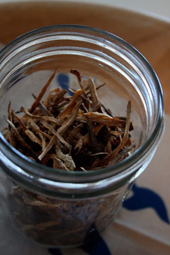 Organic - Candida Cleanse Tea | Kingdom Come Home