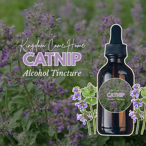 Catnip - Alcohol Tincture | Kingdom Come Home