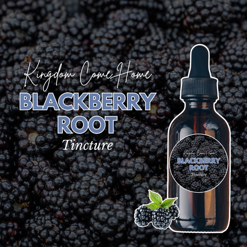 Blackberry Root Tincture | Kingdom Come Home
