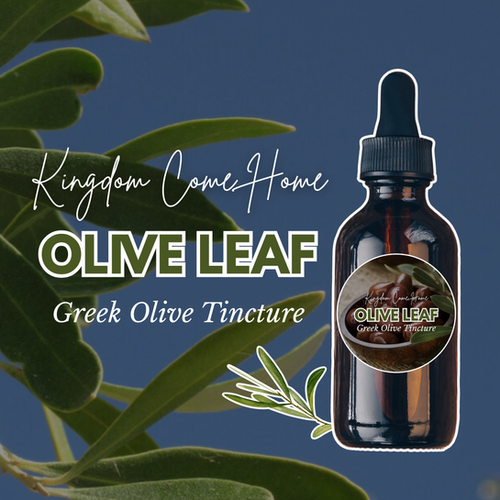 Olive Leaf - Greek Olive Tincture | Kingdom Come Home