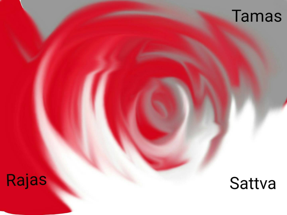 Sattva, Rajas, Tamas, Role of 3 basic Gunas in Yoga