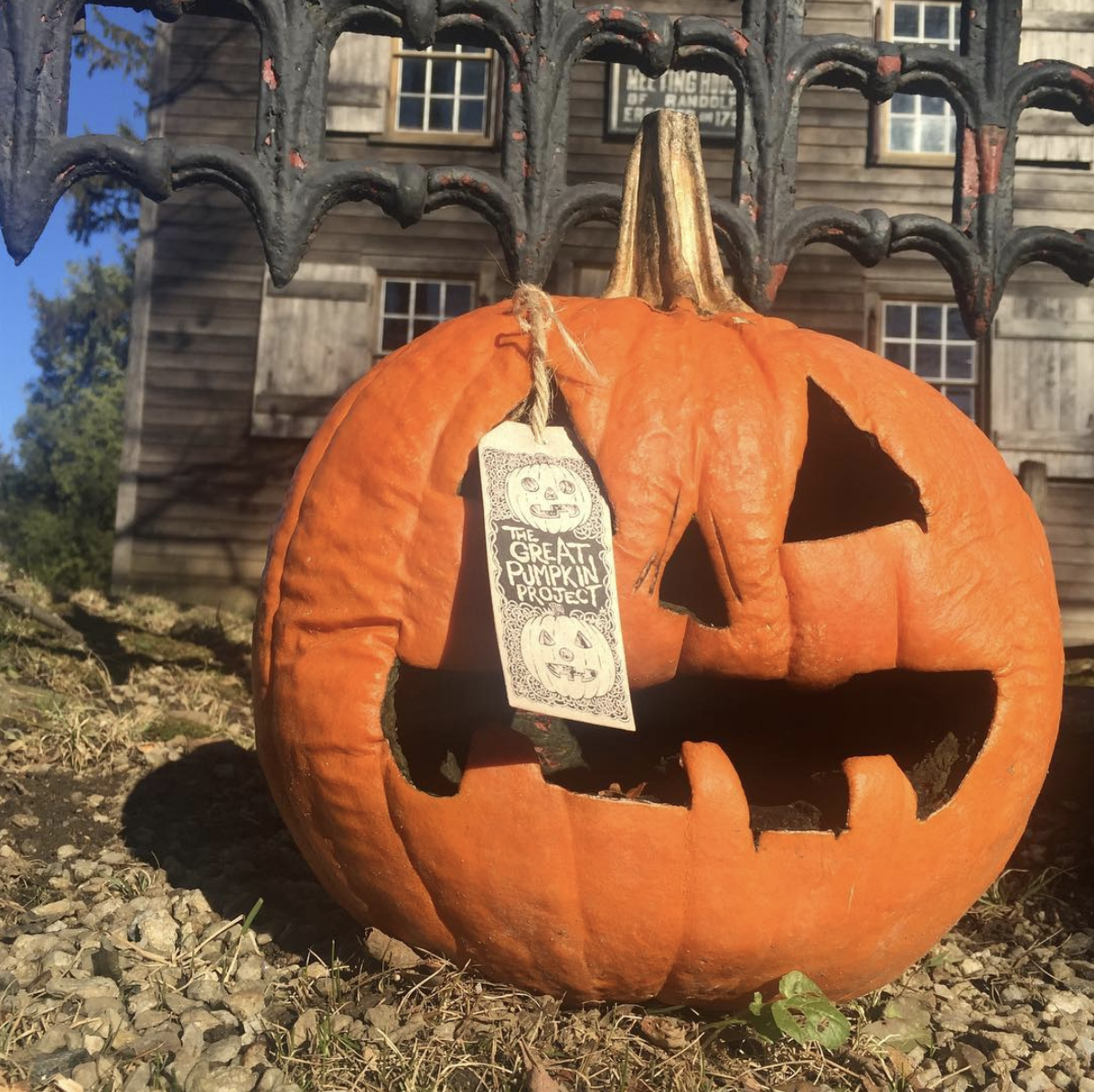 The Great Pumpkin Project - and How to Participate