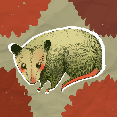 Tlacuache / Possum Sticker | MIXIXI Collection
