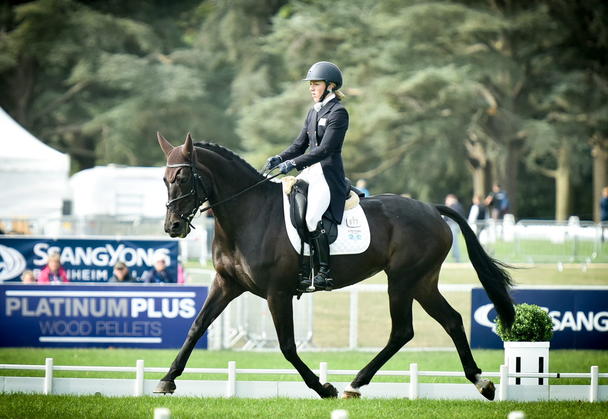Felicity Collins | International Event Rider
