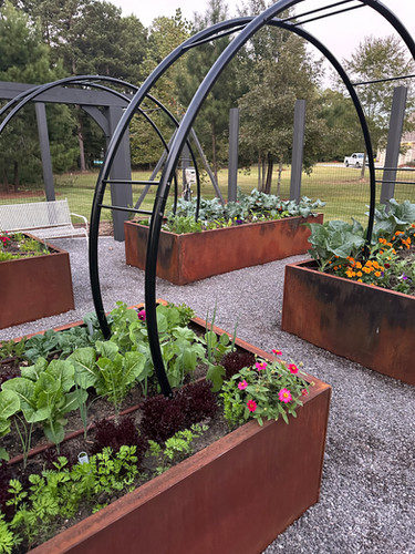 Custom Steel Beds | Cedar Hill Garden Co