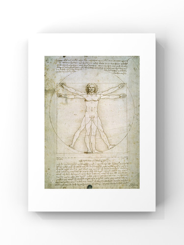 "Leonardo Da Vinci Sketches" Series 1 Poster Painting | TABLODES