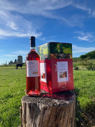 Cubis 10L rosé | château latuc