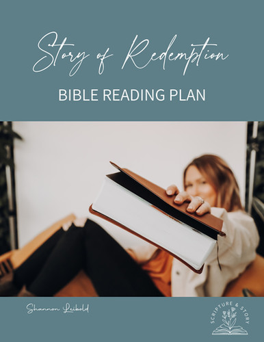 Story of Redemption Bible Reading Plan | Scripture & Story