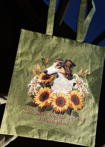 Canvas Tote Bag | NBRF