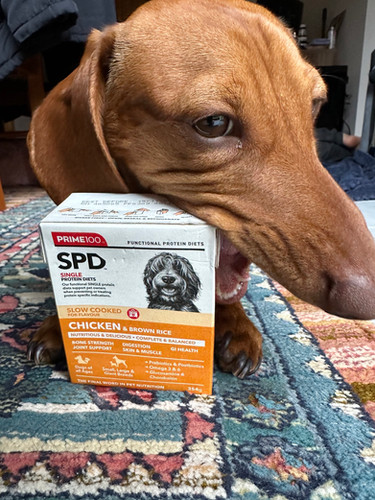 Prime 100 Slow Cooked Chicken Carton | Connective Instincts