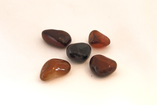 Calcédoine brune - Brown Chalcedony | Wiccan-Trinity