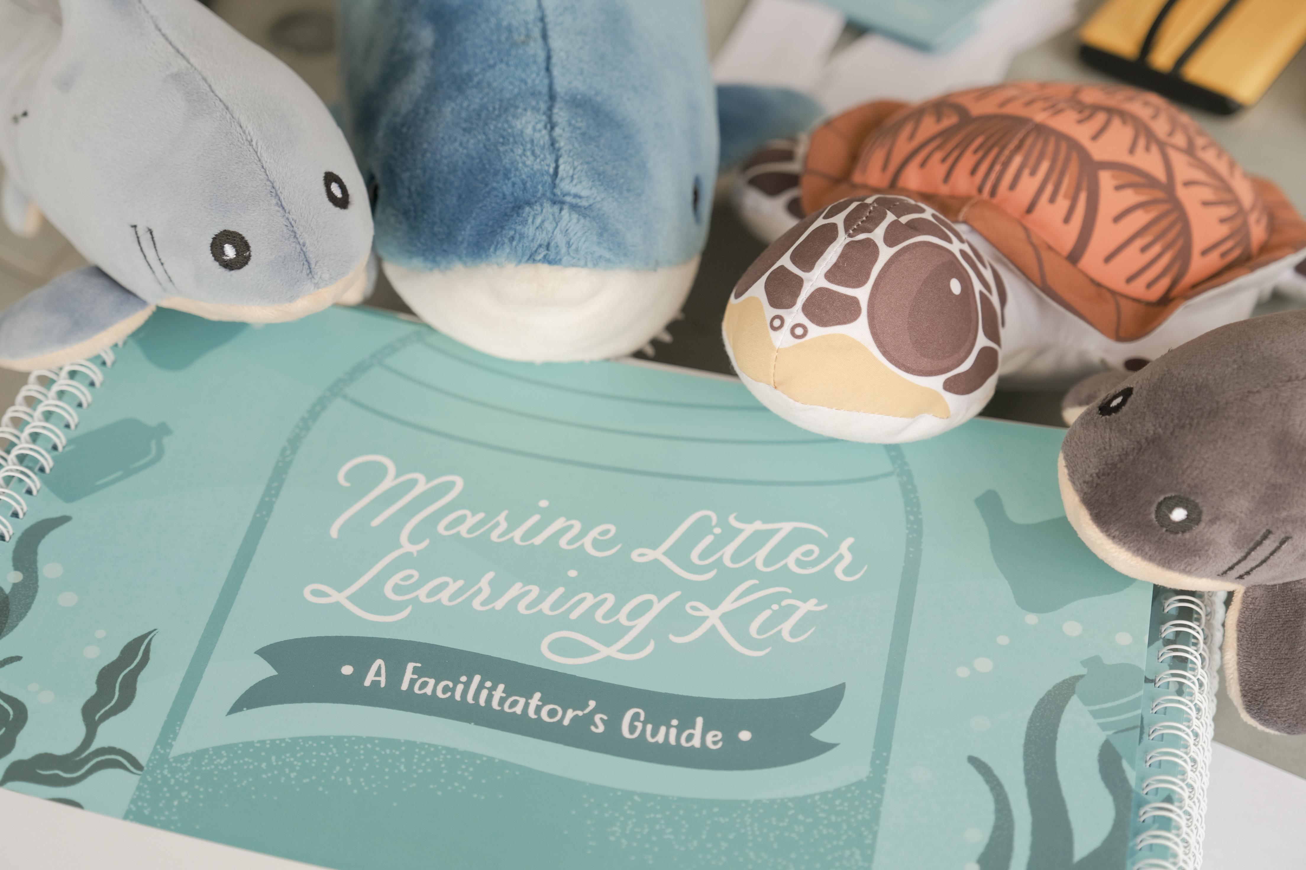 Marine Litter Learning Kit