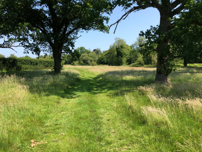 Foraging course venues: Hunstanton Park