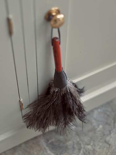 Mini Feather Duster | Cook & Butler