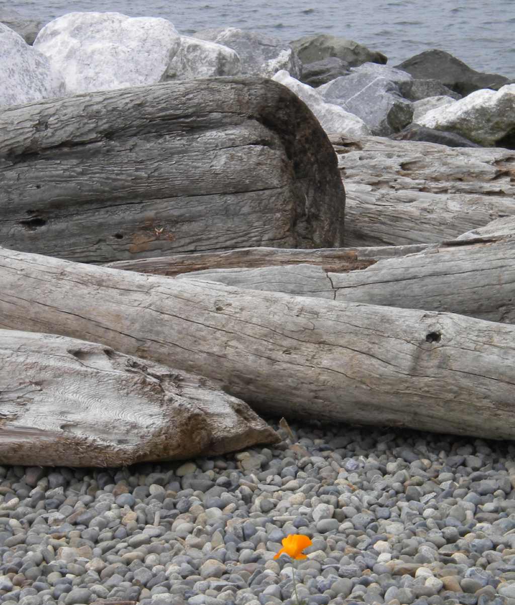 Mary Quirk Freelance Writer and STEM Educator