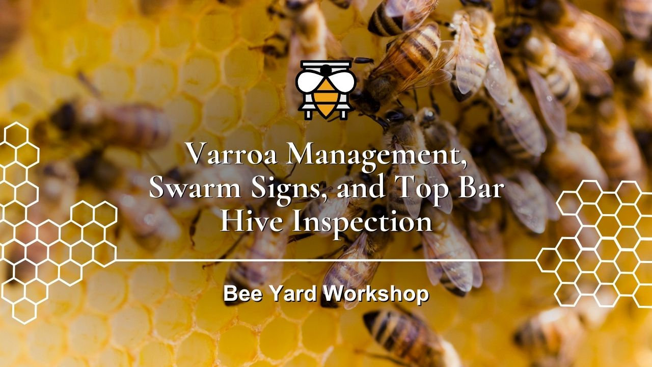 Varroa Management, Swarm Signs, and Top Bar Hive Inspection Workshop ...
