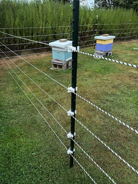 Bear Fencing Equipment Guide