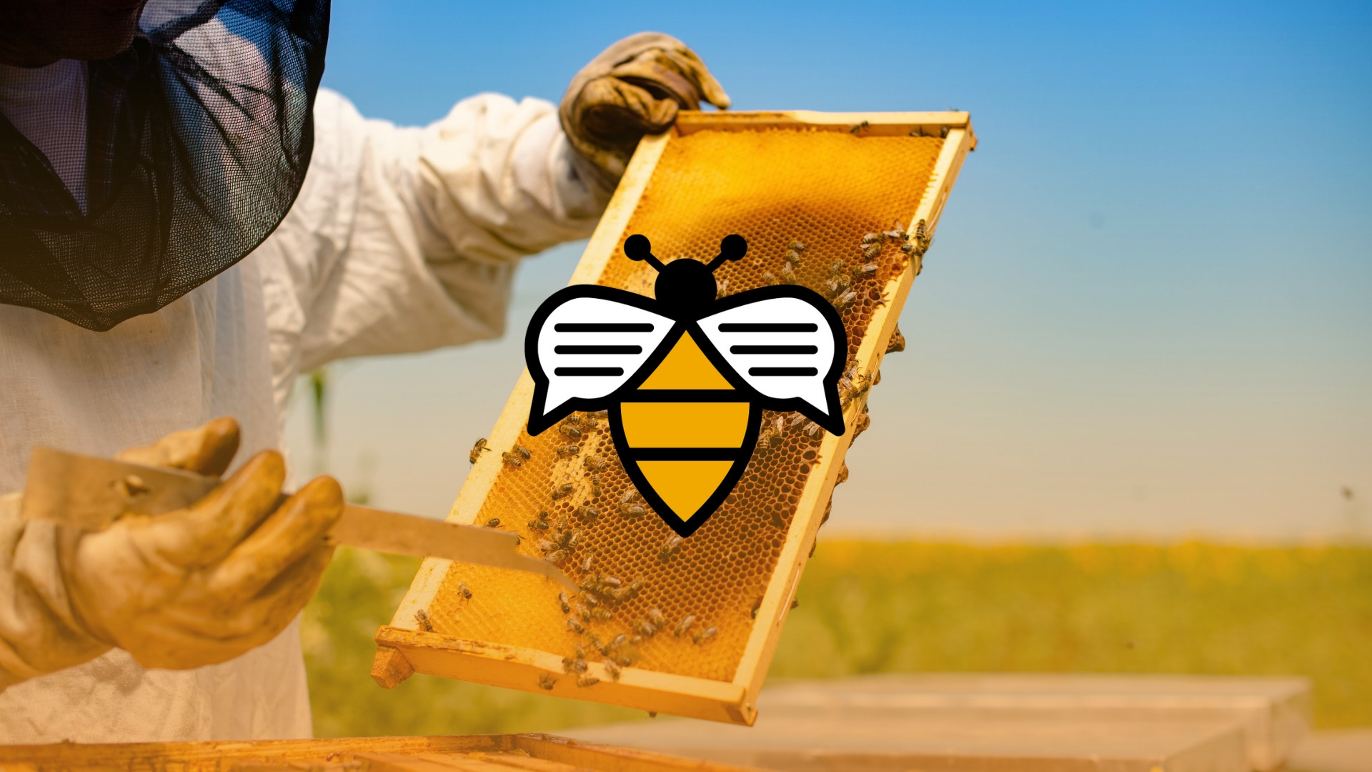 Bee Talks | Connecticut Beekeepers Association