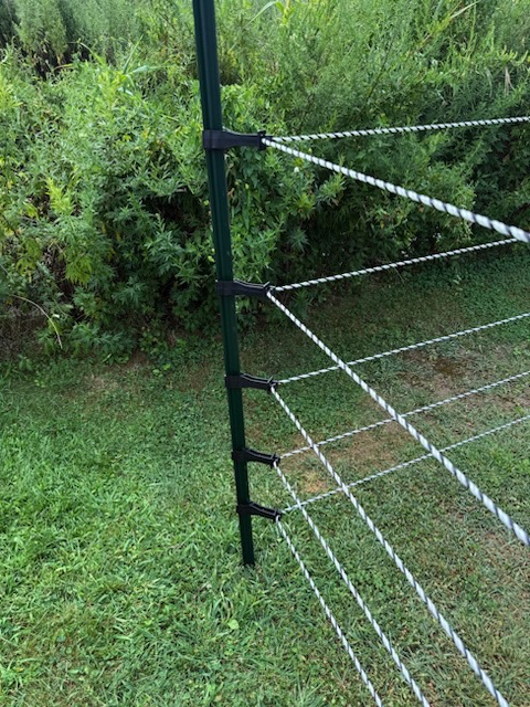 Bear Fencing Equipment Guide