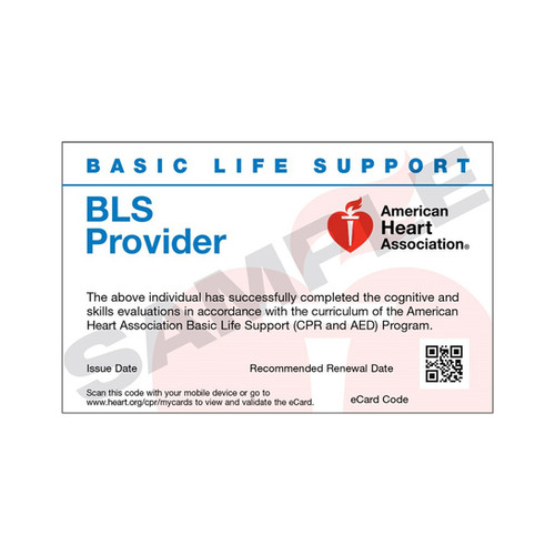 BLS Provider - CodeCPR