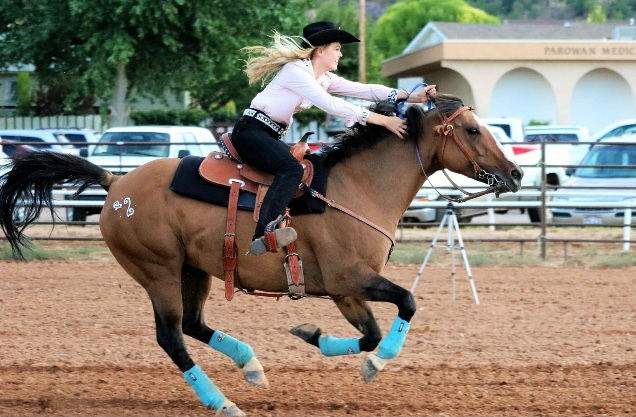 Pretty in Pink, Wicked in Spurs: How your Rodeo Queen Outfits Represent ...