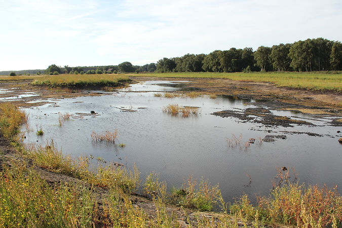 Home | Nature Rambles with Alan Bowley