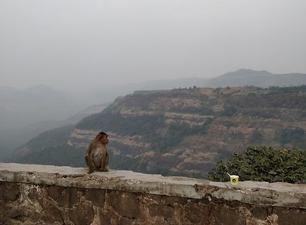 Attractions | Treasure Island