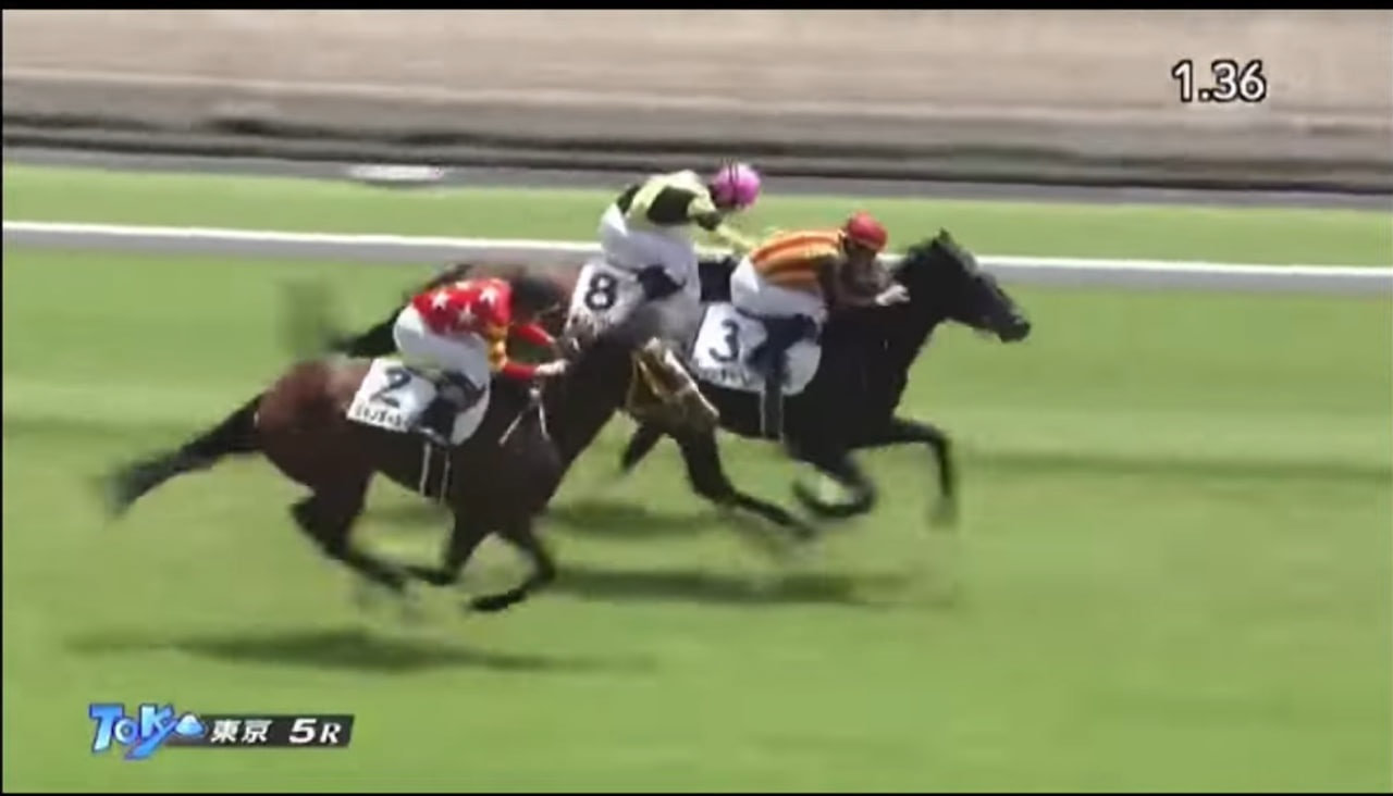 【南總衛冕之路開始】新一屆POG比賽揭開戰幔 邊匹參戰馬先拔頭籌？ | goldracing