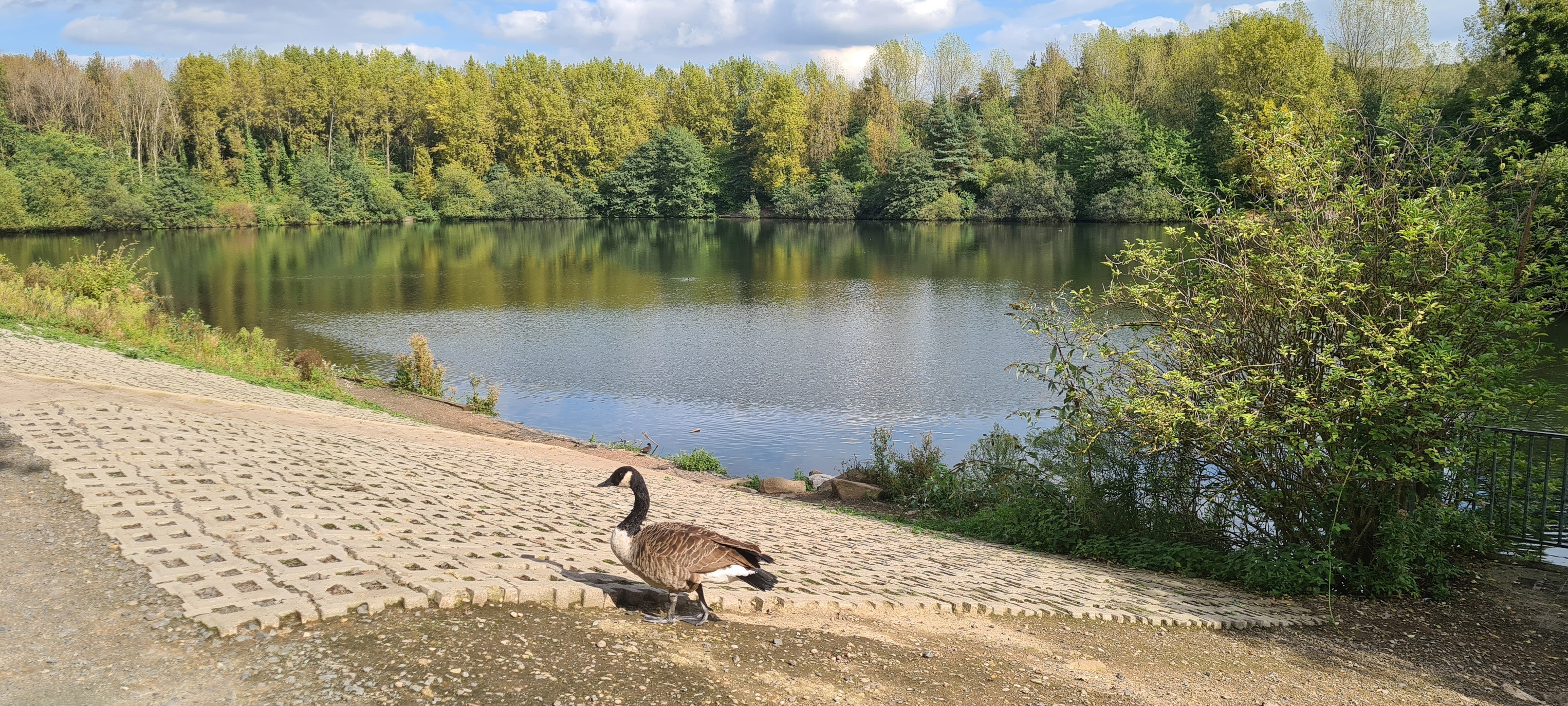 07 | Telfordt5050trail