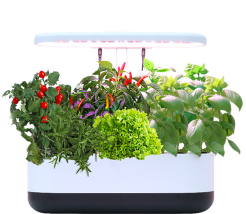 Z211 Intelligent Planter | Amercis