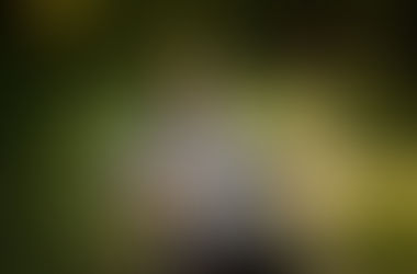 Introducing: Mickey Callisto