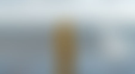 Introducing: Mickey Callisto