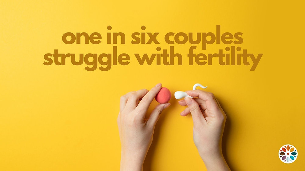 How Functional Medicine Nutritional Therapy Supports Fertility: A ...