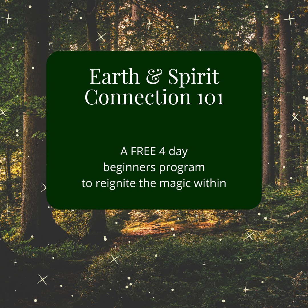 ECH Course | DeepRootConnections