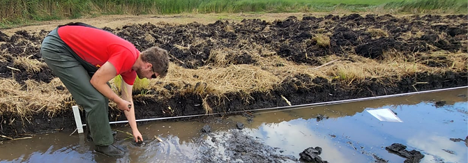 FWAG SW | Paludiculture