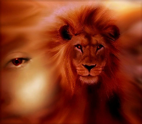 45 Minute Online Reading | MPO