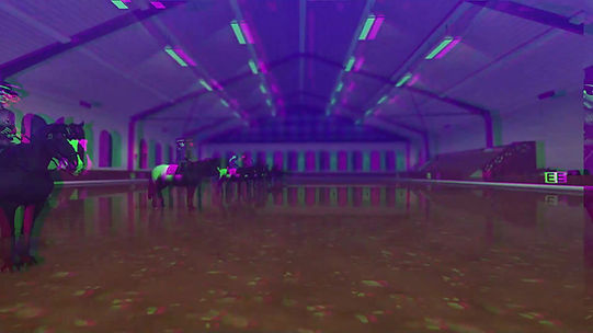 HOME | Star Stable Dressage