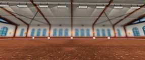 Dictionary | Star Stable Dressage