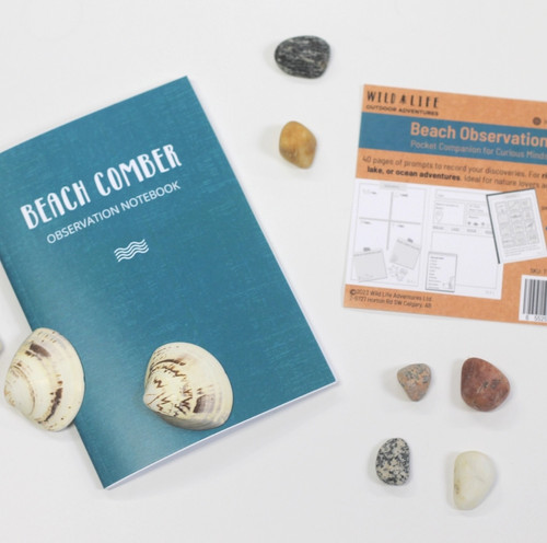 Beach Comber Observation Notebook | The Crow’s Nest