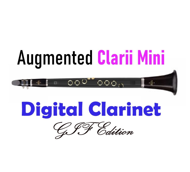 Creating a Digital Clarinet