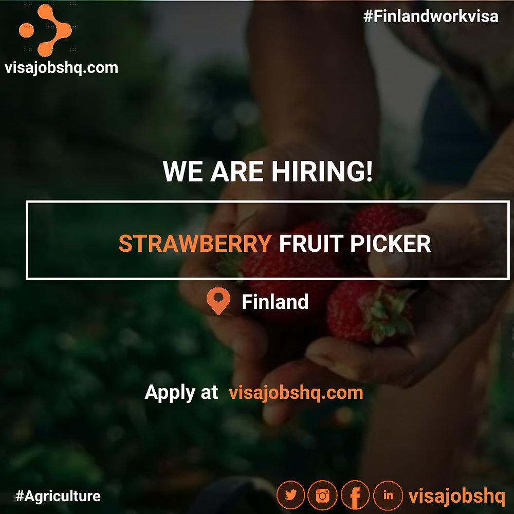 RELOCATE TO FINLAND IN 2024 AS A STRAWBERRY FRUIT PICKER, SUMMER INTAKE ...