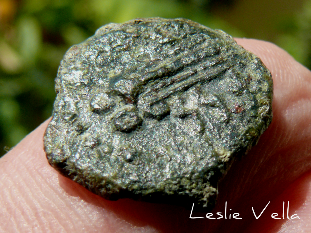 Malta’s original name as told by an ancient coin