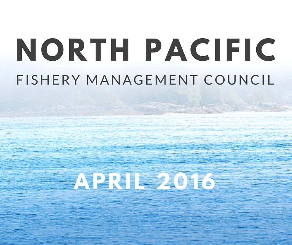 Policy Update: Council Hears Testimony on Halibut Bycatch Plan