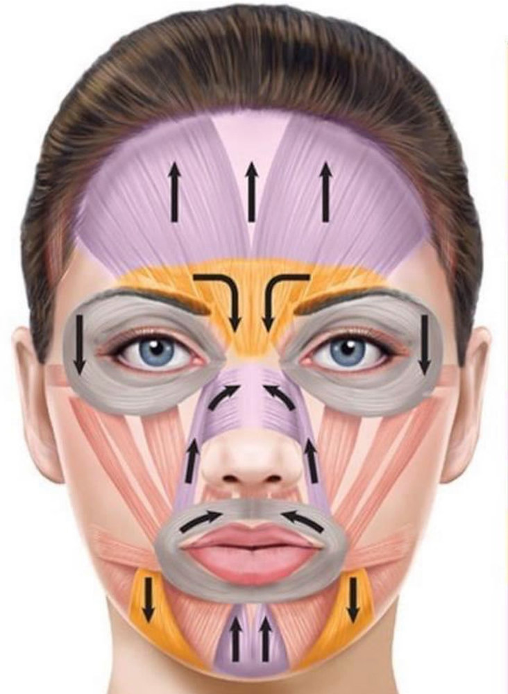 What is the Botox brow lift?