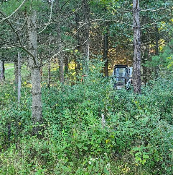 Forestry Mulching | Tim Post Services | Wisconsin | United States