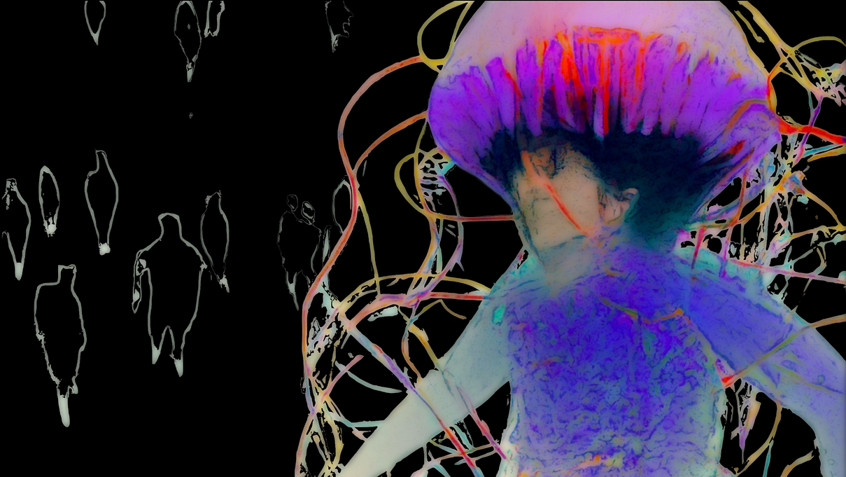 Live Music Events in Bali and Lembongan| Jellyfish Events