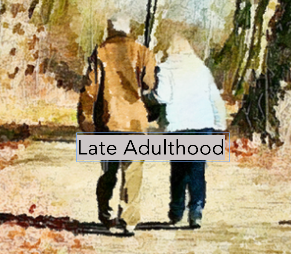 Late Adulthood | My Site