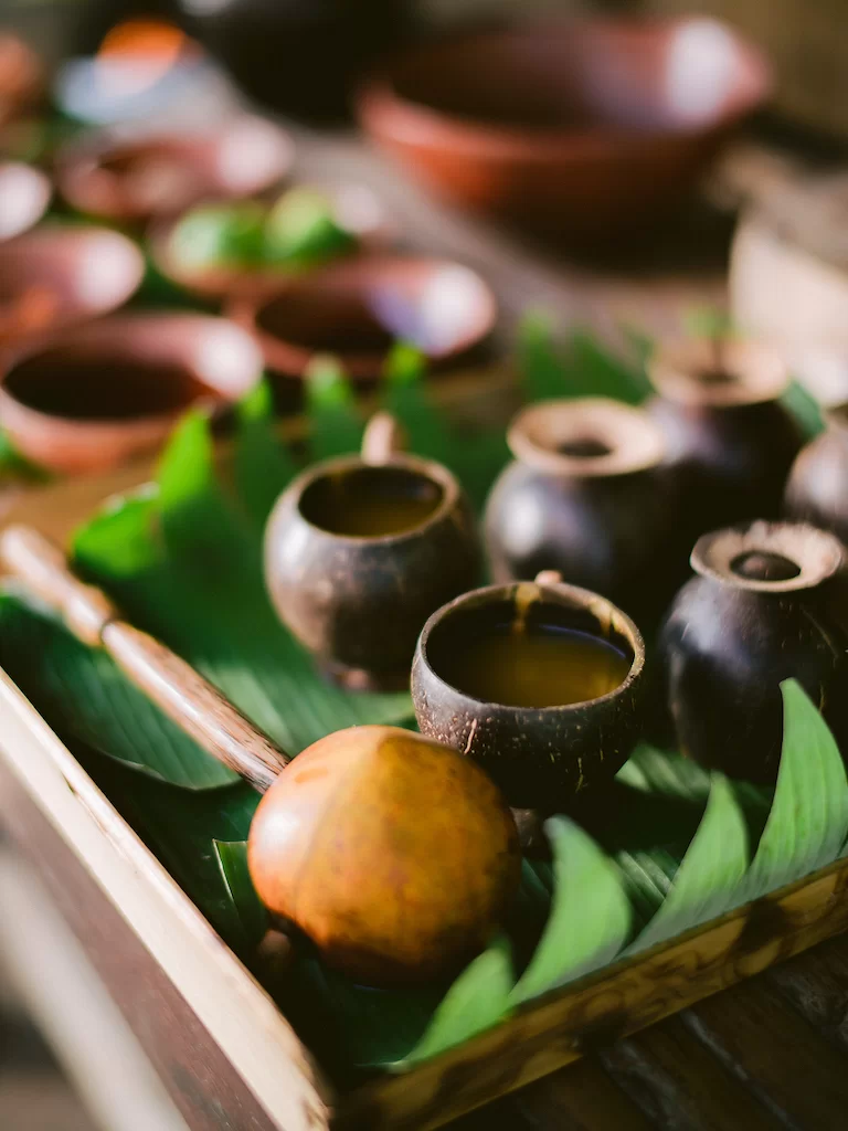 Jamu - Indonesiens traditionella medicinska elixir