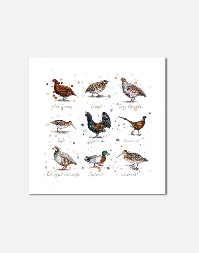 Game Birds | Signed Limited Edition Print | eleanortomlinsonart